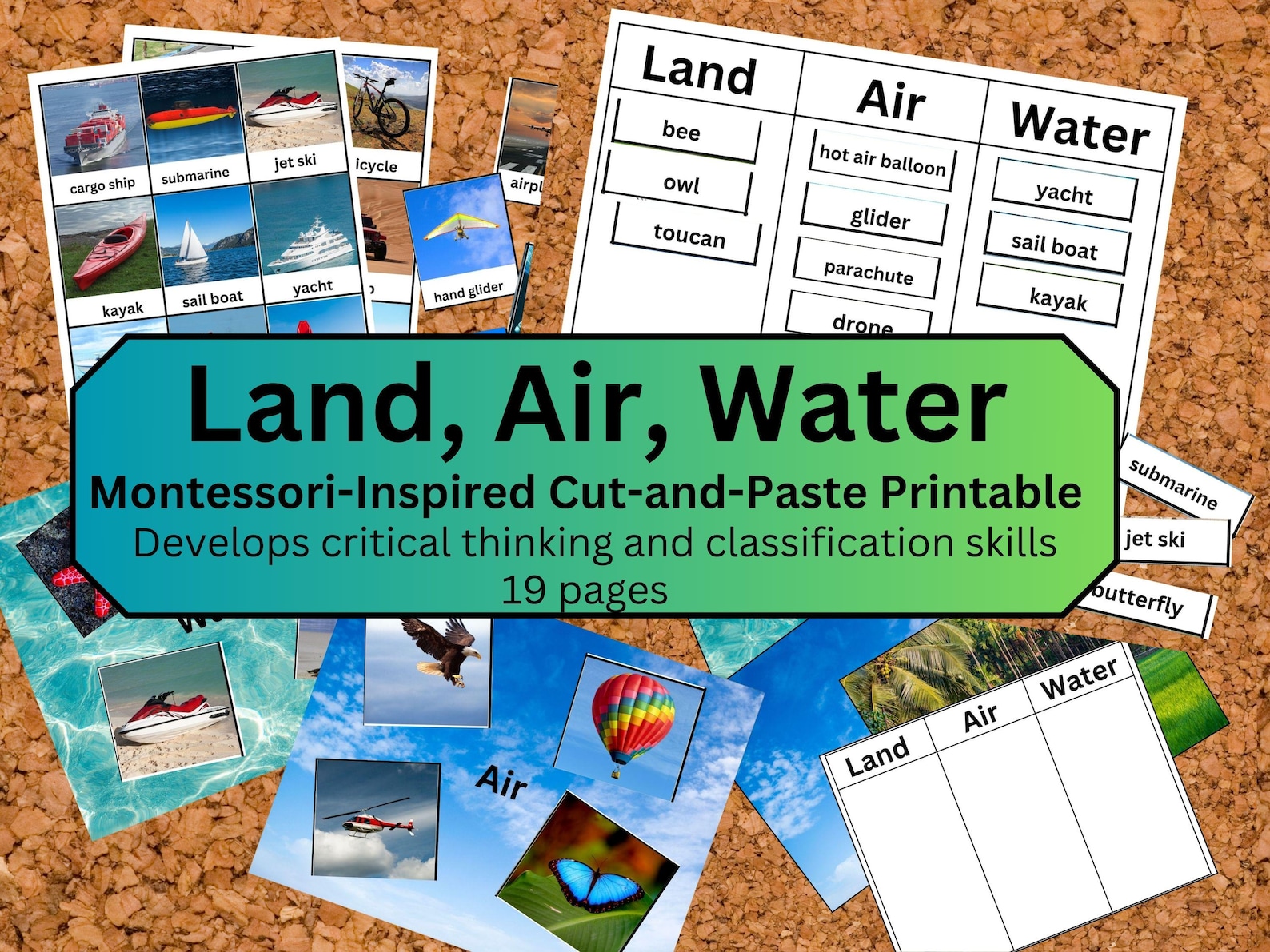 Land, Air, and Water Sorting Activity - Etsy