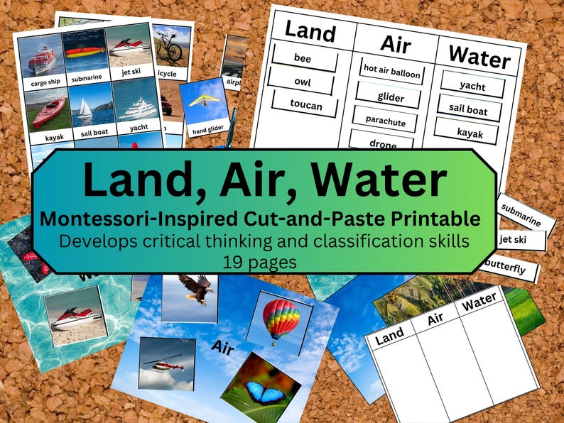 Land, Air, and Water Sorting Activity - Etsy