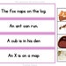 Pink Montessori Sentence Strip and Pictures - Etsy