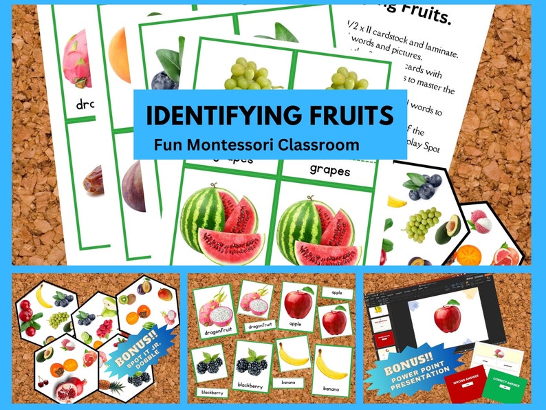 Identifying Fruit the Montessori Way - Etsy