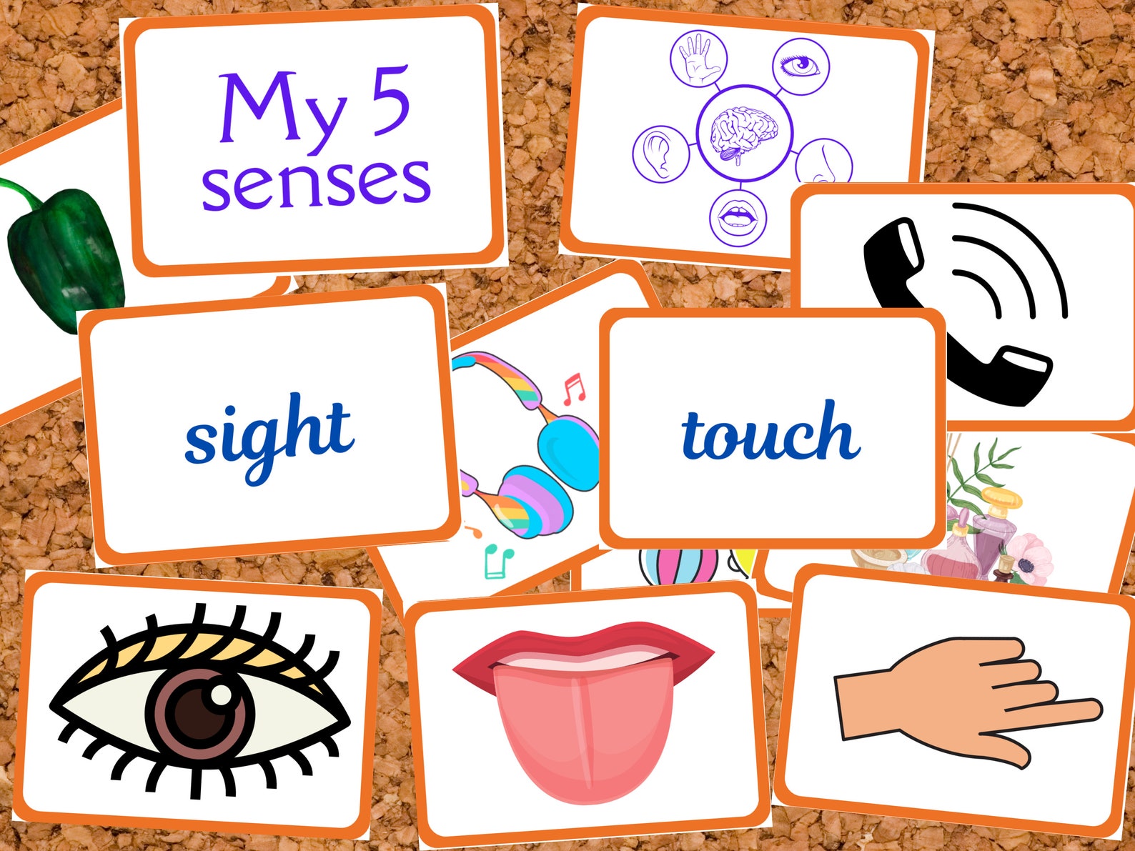 Montessori My 5 Senses - Etsy