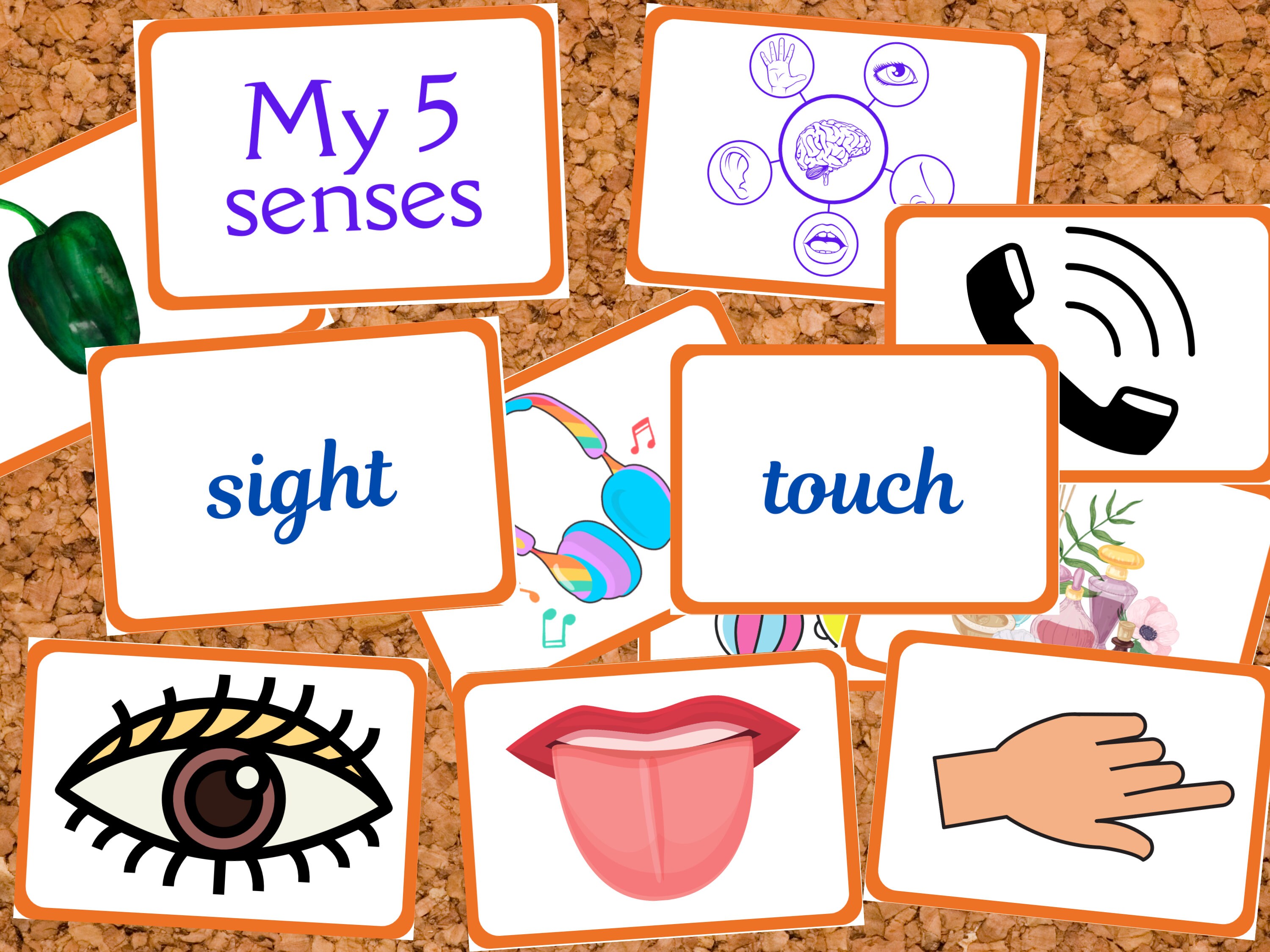 Montessori My 5 Senses - Etsy