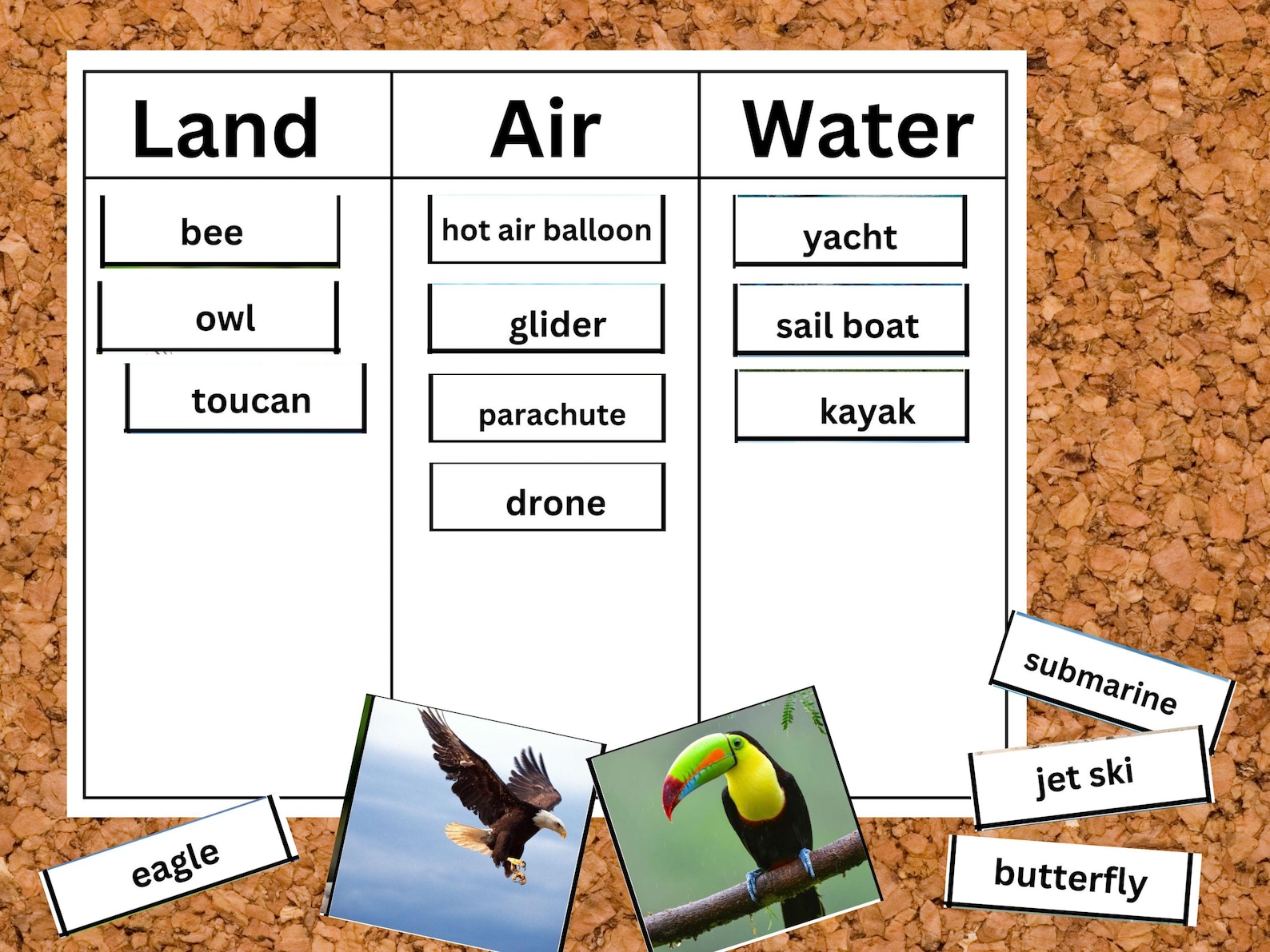 Land, Air, and Water Sorting Activity - Etsy