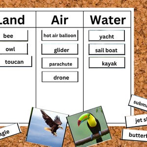 Land, Air, and Water Sorting Activity - Etsy