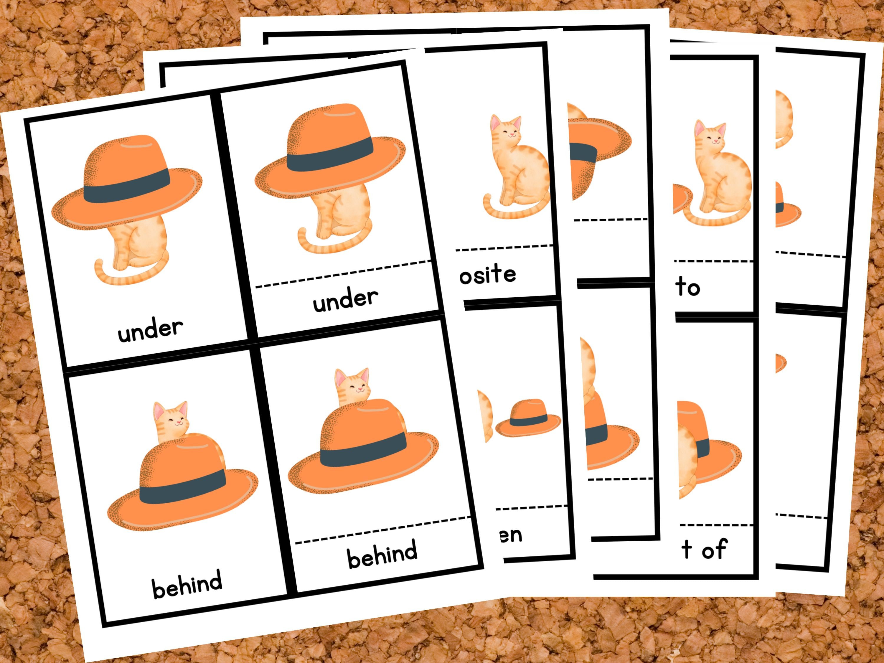 Montessori Prepositions of Place Activity | Hands-on Grammar & Reading ...