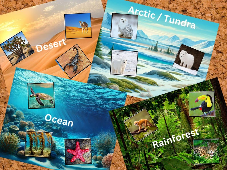 Montessori 7 Habitats Sorting Activity Printable | Animal & Plant ...