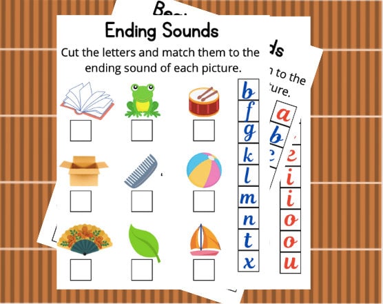 Beginning, Middle and End Sound Interactive Worksheet - Etsy
