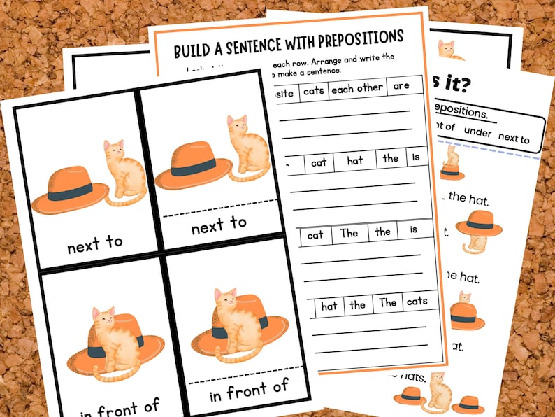 Montessori Prepositions of Place Activity | Hands-on Grammar & Reading ...