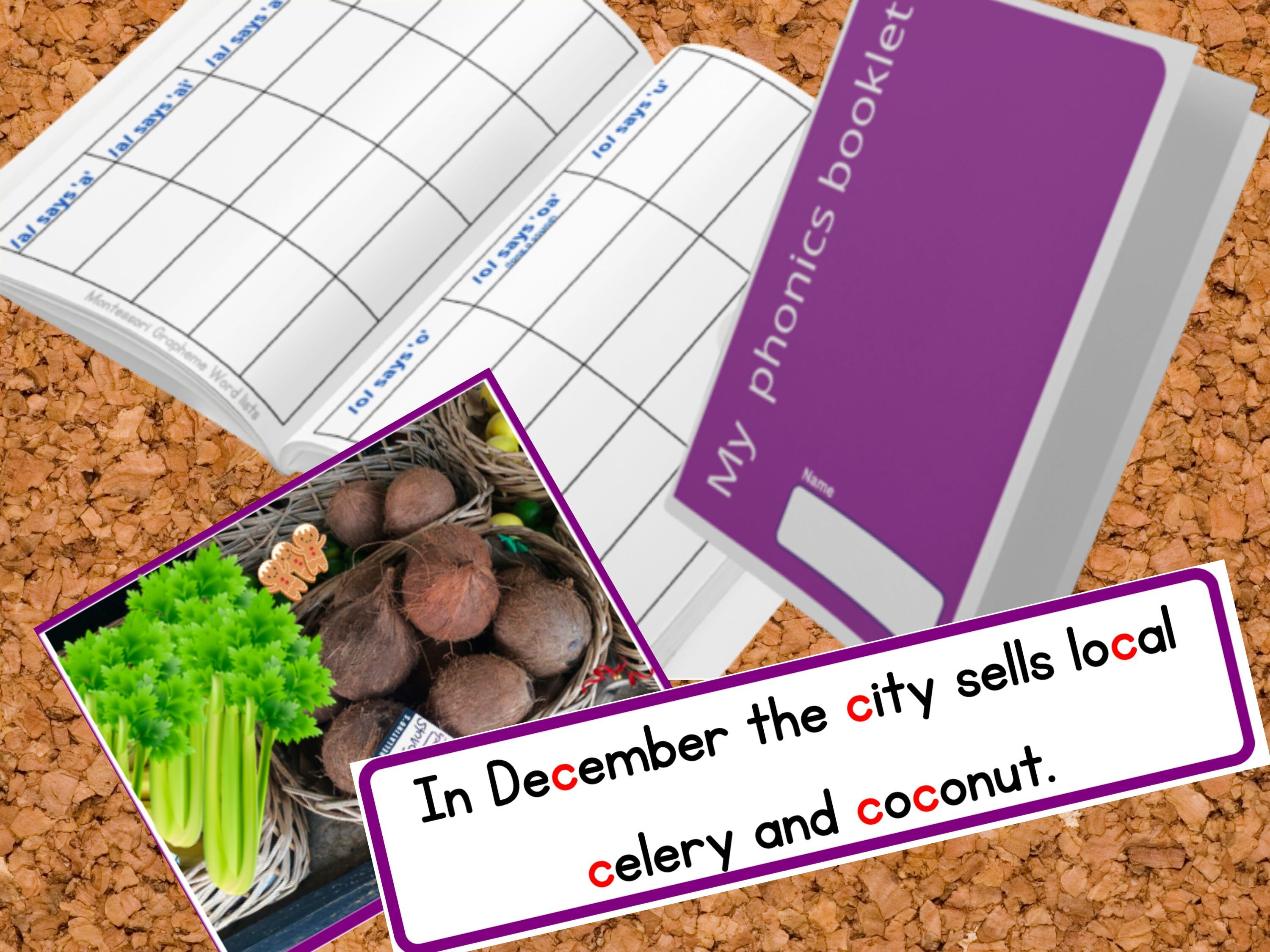 Grapheme Alternate Sounds Sentences and Pictures - Etsy