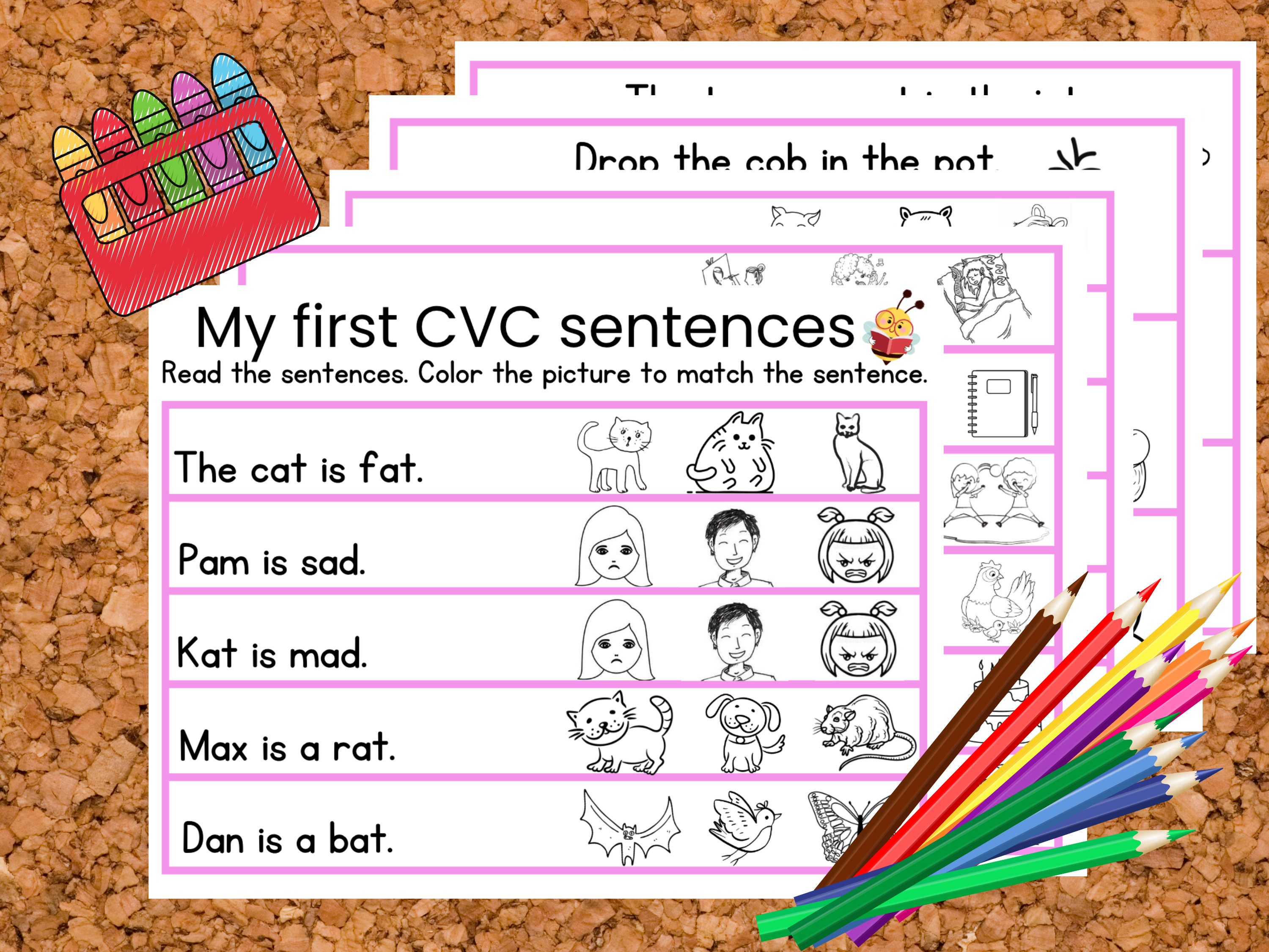 CVC Sentences and Pictures - Etsy