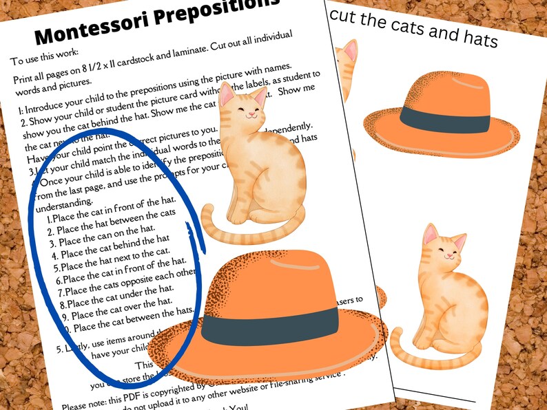 Montessori Prepositions of Place Activity | Hands-on Grammar & Reading ...