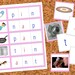 Montessori Pink Series Spelling CVC Words - Etsy