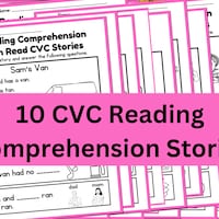 CVC Stories - Homeschool - Etsy UK