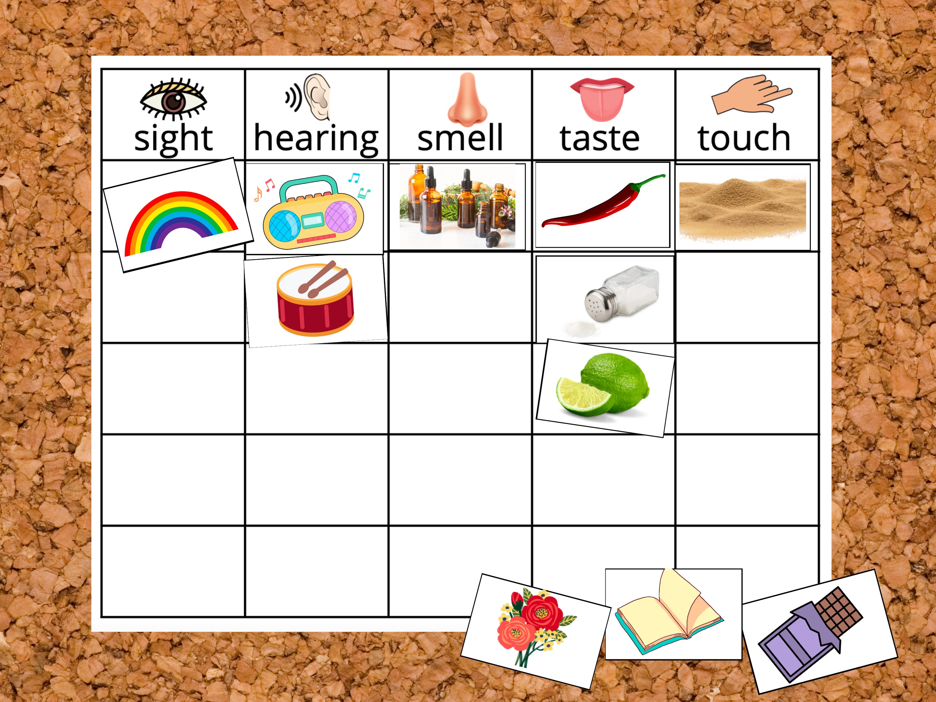 Montessori Five Senses Activities Bundle - Sorting Cards & Sentence ...