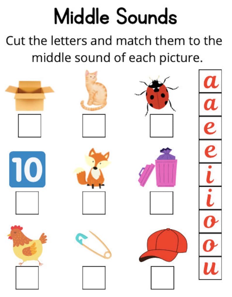 Beginning, Middle and End Sound Interactive Worksheet - Etsy
