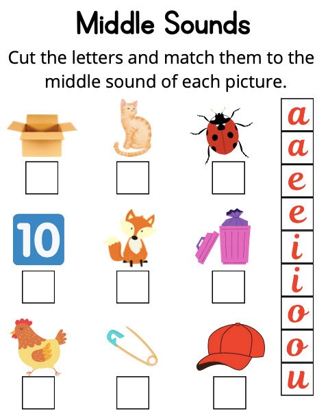 Beginning, Middle and End Sound Interactive Worksheet - Etsy