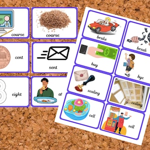Homophones Flashcards and Worksheets - Etsy