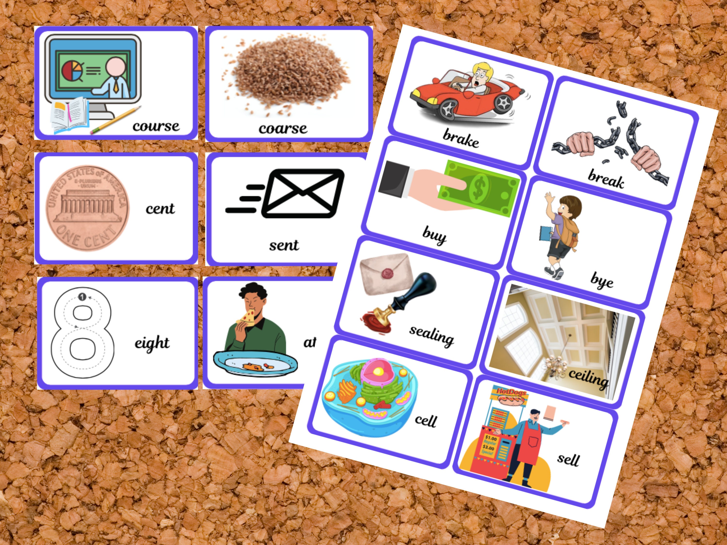 Homophones Flashcards and Worksheets - Etsy