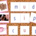 Montessori Pink Series Spelling CVC Words - Etsy