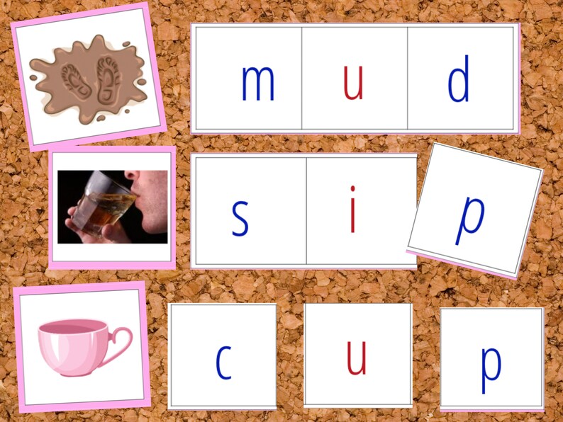 Montessori Pink Series Spelling CVC Words - Etsy