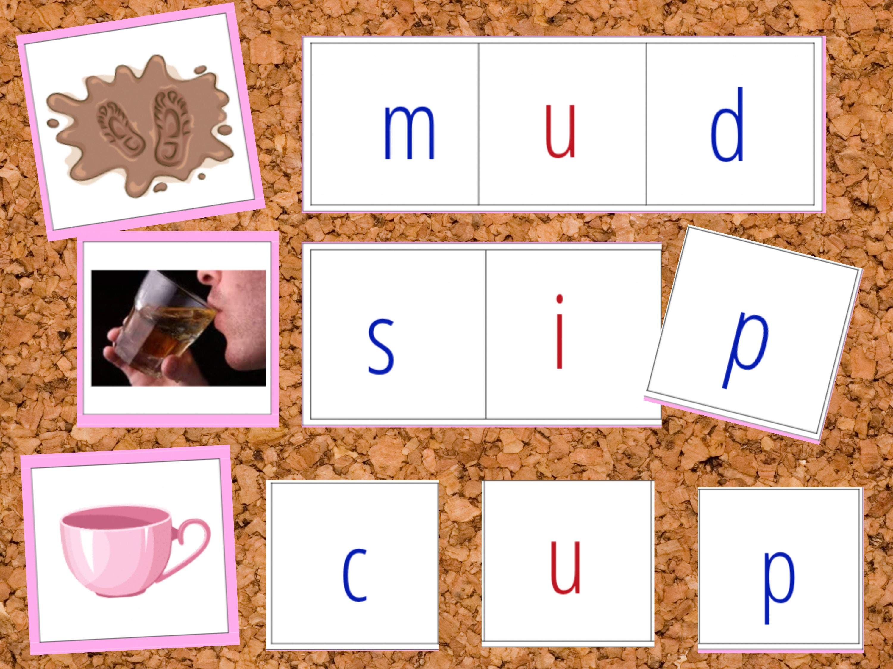 Montessori Pink Series Spelling CVC Words - Etsy