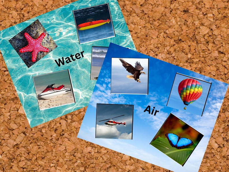 Land, Air, and Water Sorting Activity - Etsy