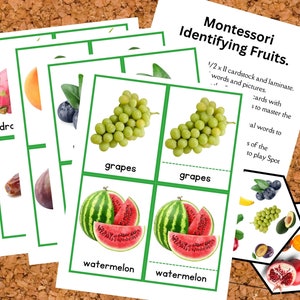 Identifying Fruit the Montessori Way - Etsy