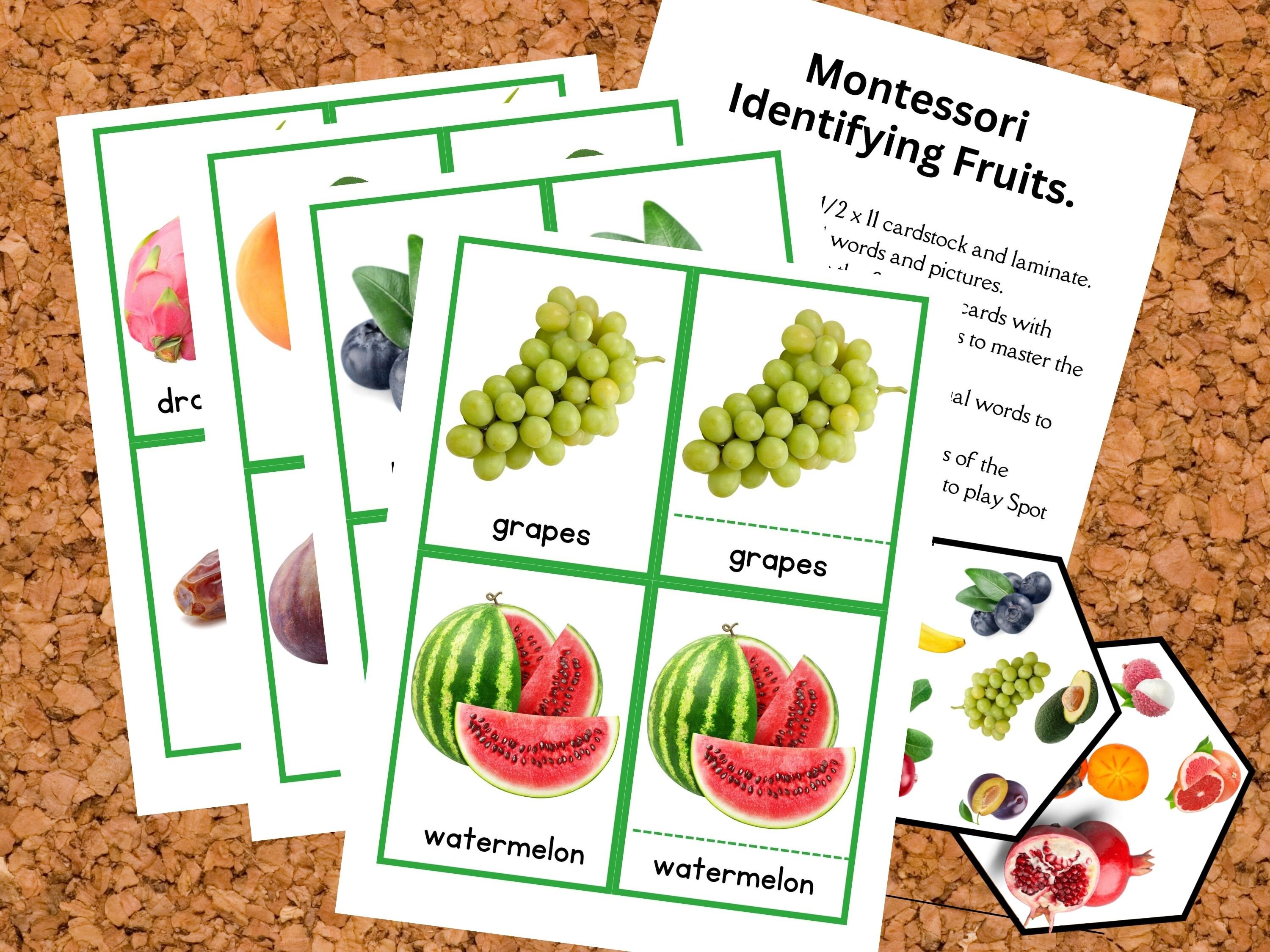 Identifying Fruit the Montessori Way - Etsy