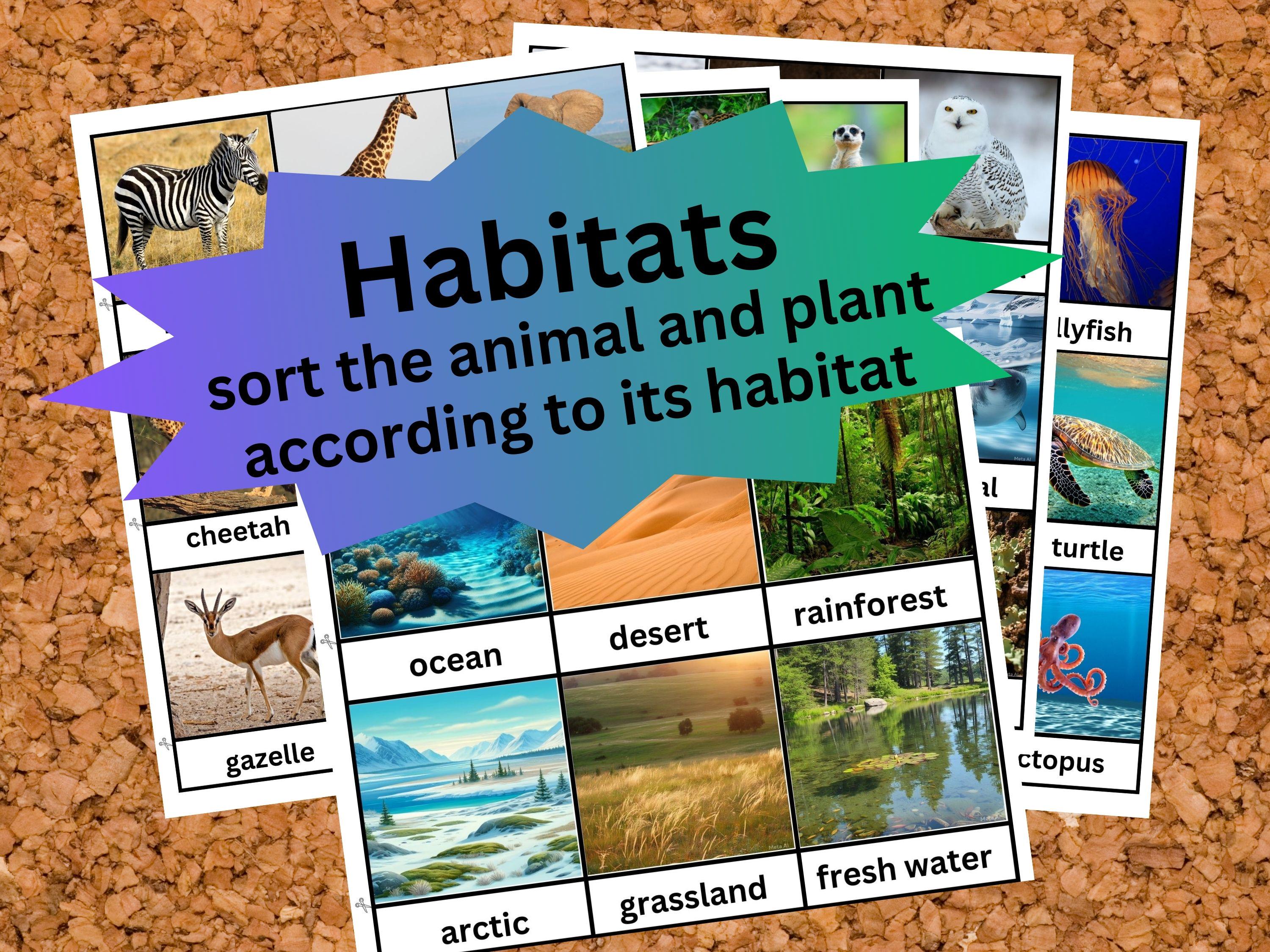 Montessori 7 Habitats Sorting Activity Printable | Animal & Plant ...