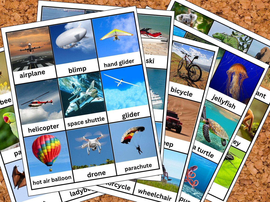 Land, Air, and Water Sorting Activity - Etsy