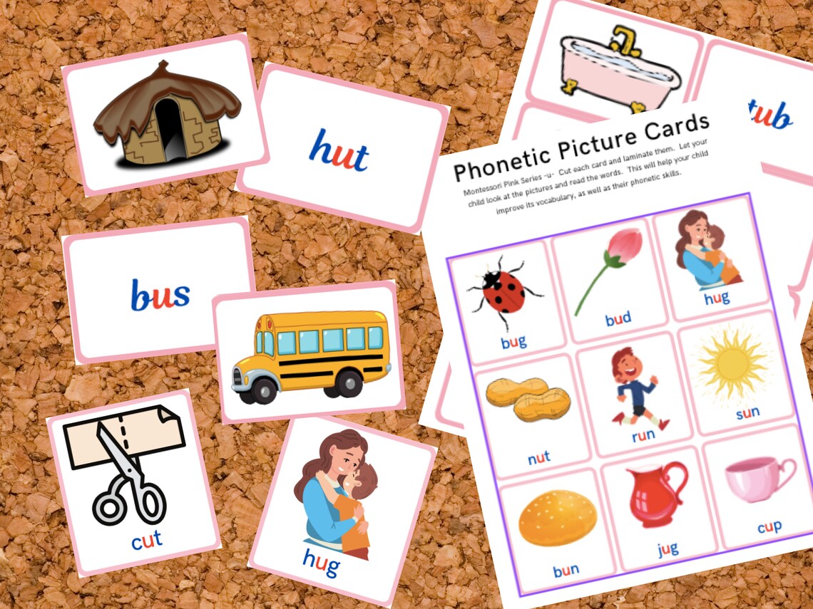 Montessori Pink Series Pictures and Word Cards - Etsy