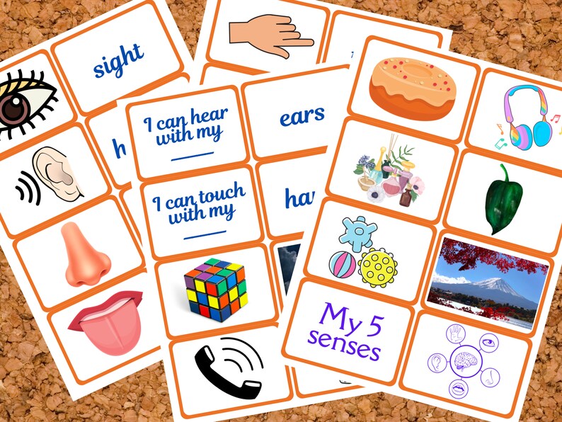 Montessori Five Senses Activities Bundle - Sorting Cards & Sentence ...