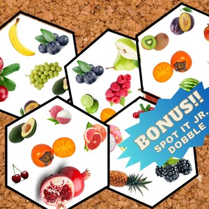 Identifying Fruit the Montessori Way - Etsy