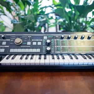 Side Panels for the "minimoog Style Modification" of the Microkorg - Etsy