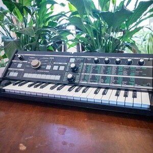 Side Panels for the "minimoog Style Modification" of the Microkorg - Etsy