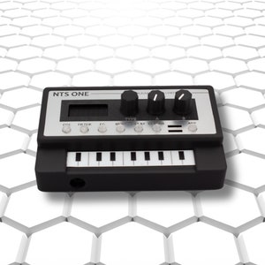 3D Printed Case for the Korg NTS-1 Synthesizer - Etsy