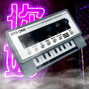 3D Printed Case for the Korg NTS-1 Synthesizer - Etsy