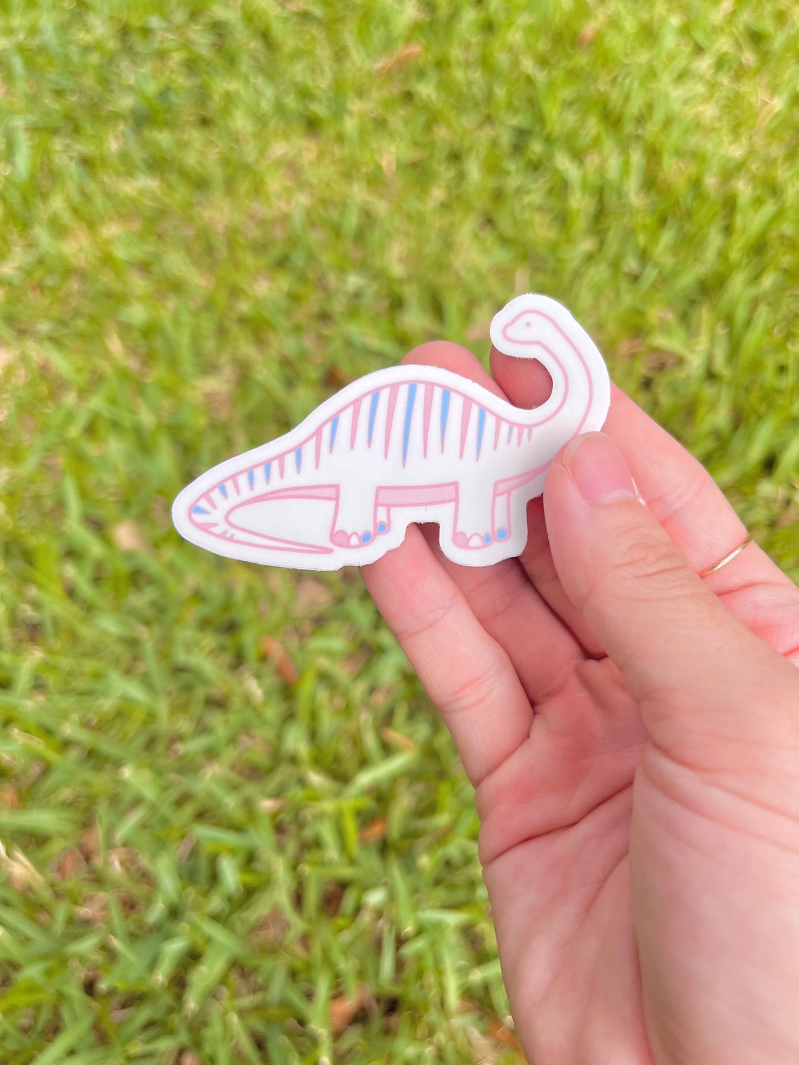 Transgender Flag Dino Sticker Pride Sticker Trans Sticker - Etsy