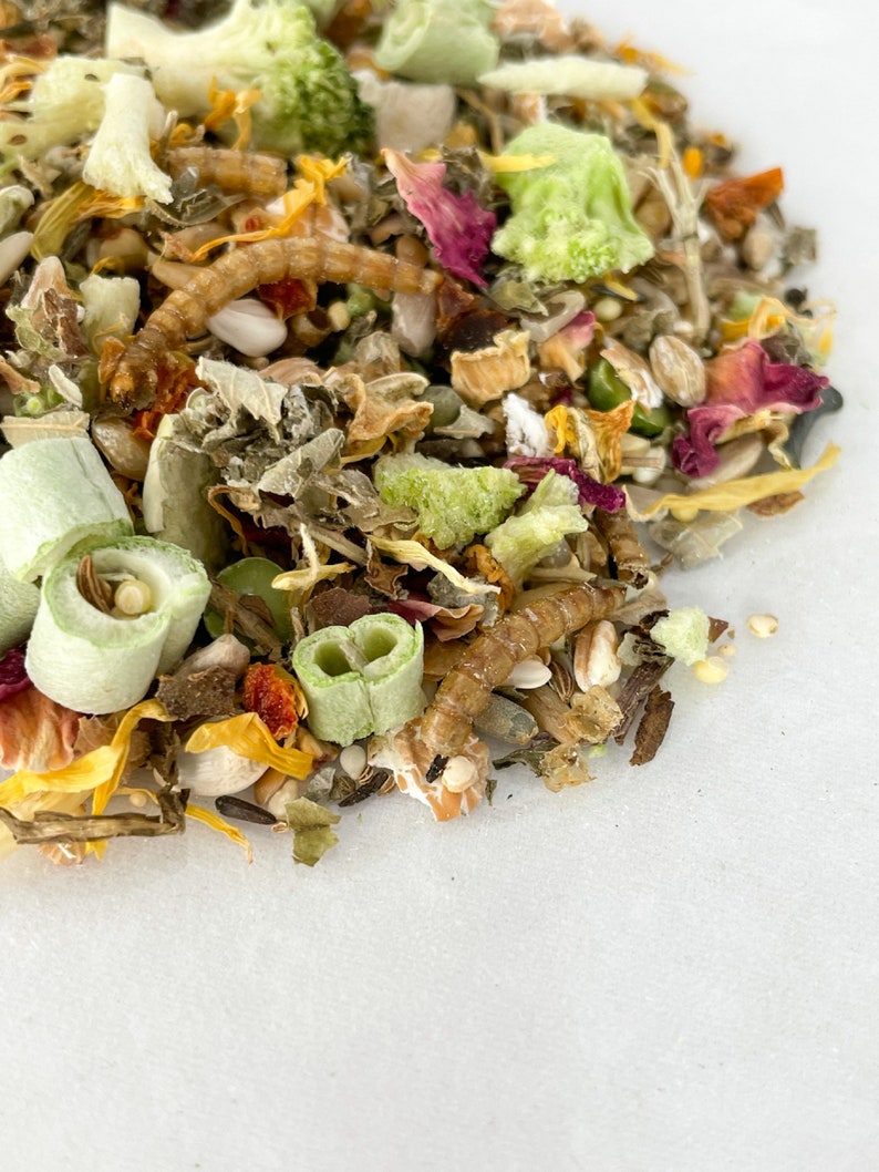 Dwarf Hamster Food Mix - 300g | Balanced Seed Diet | Winter White ...
