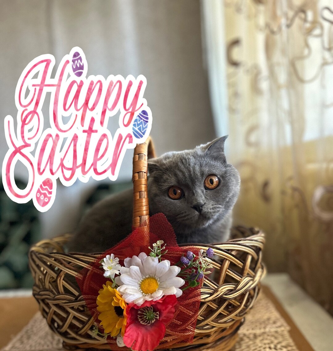 Digital File Download - Happy Easter - Ukrainian Postcard - Stand With ...