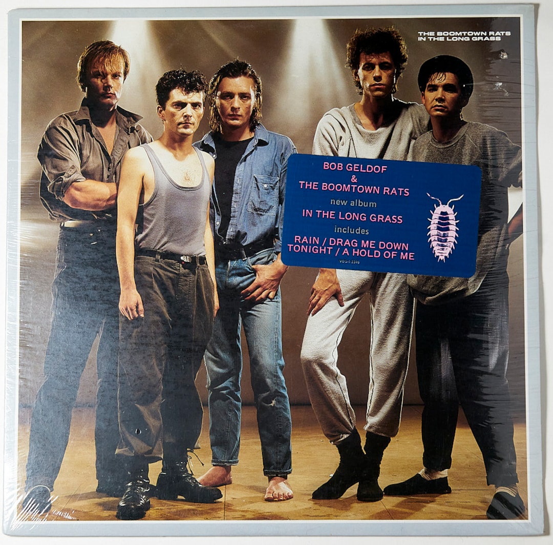 The Boomtown Rats in the Long Grass Sealed Vinyl Record - Etsy
