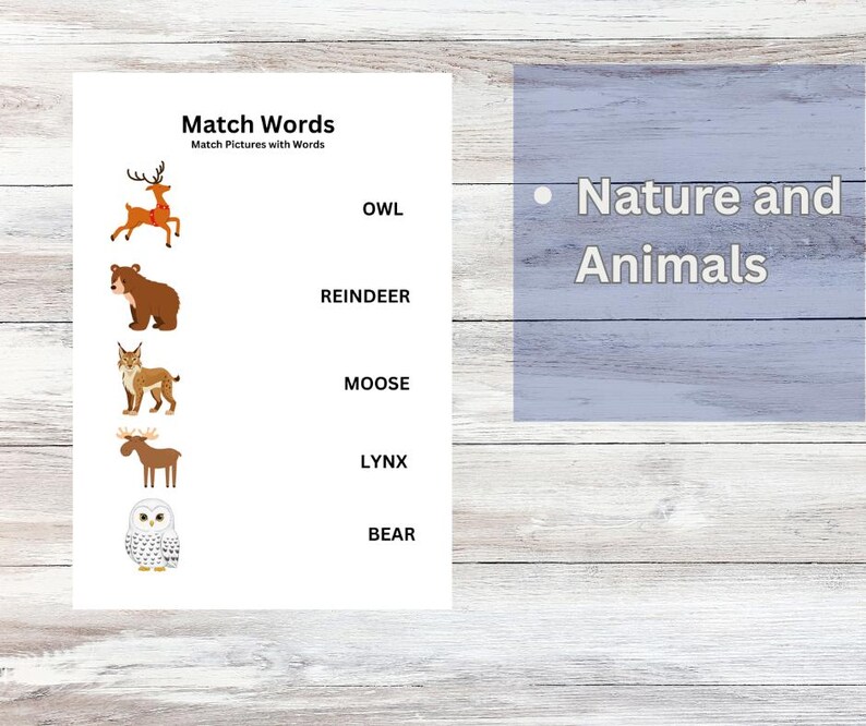 All About Finland Printable Worksheet Pack | Fun Geography & Culture ...