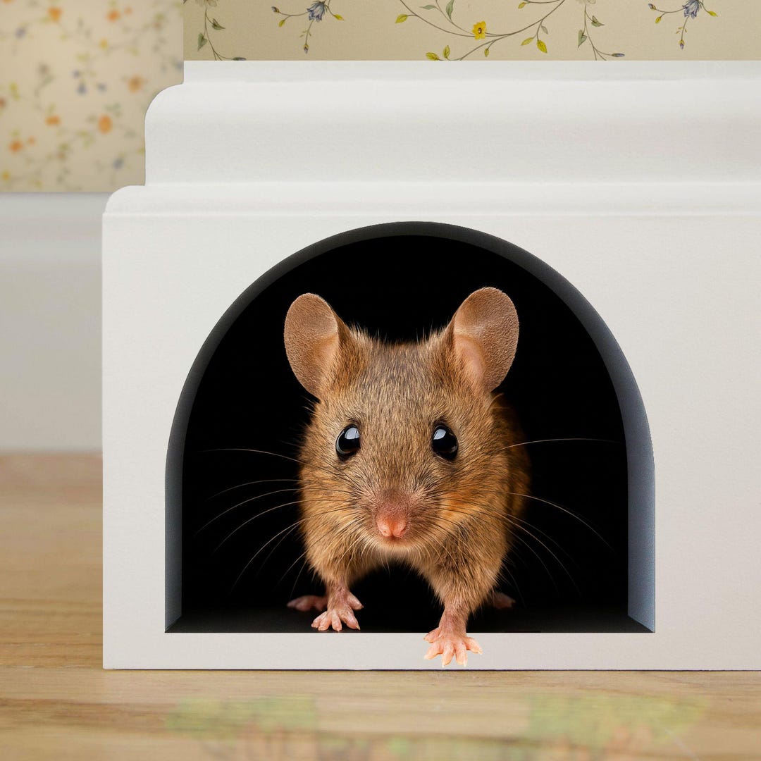 Realistic Mouse Hole Wall Decal: Removable Vinyl Mouse Sticker - Etsy