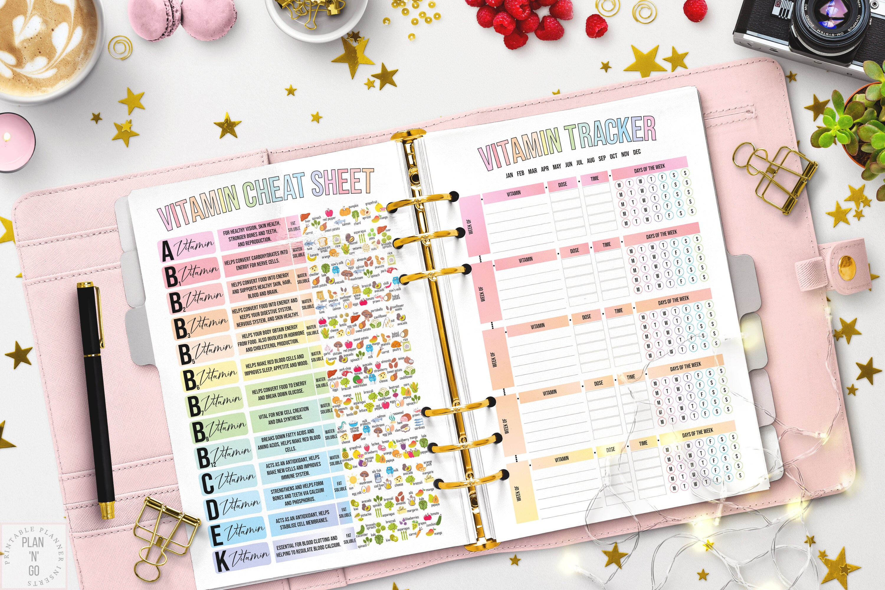 Editable Vitamin Tracker Printable Vitamin Cheat Sheet - Etsy