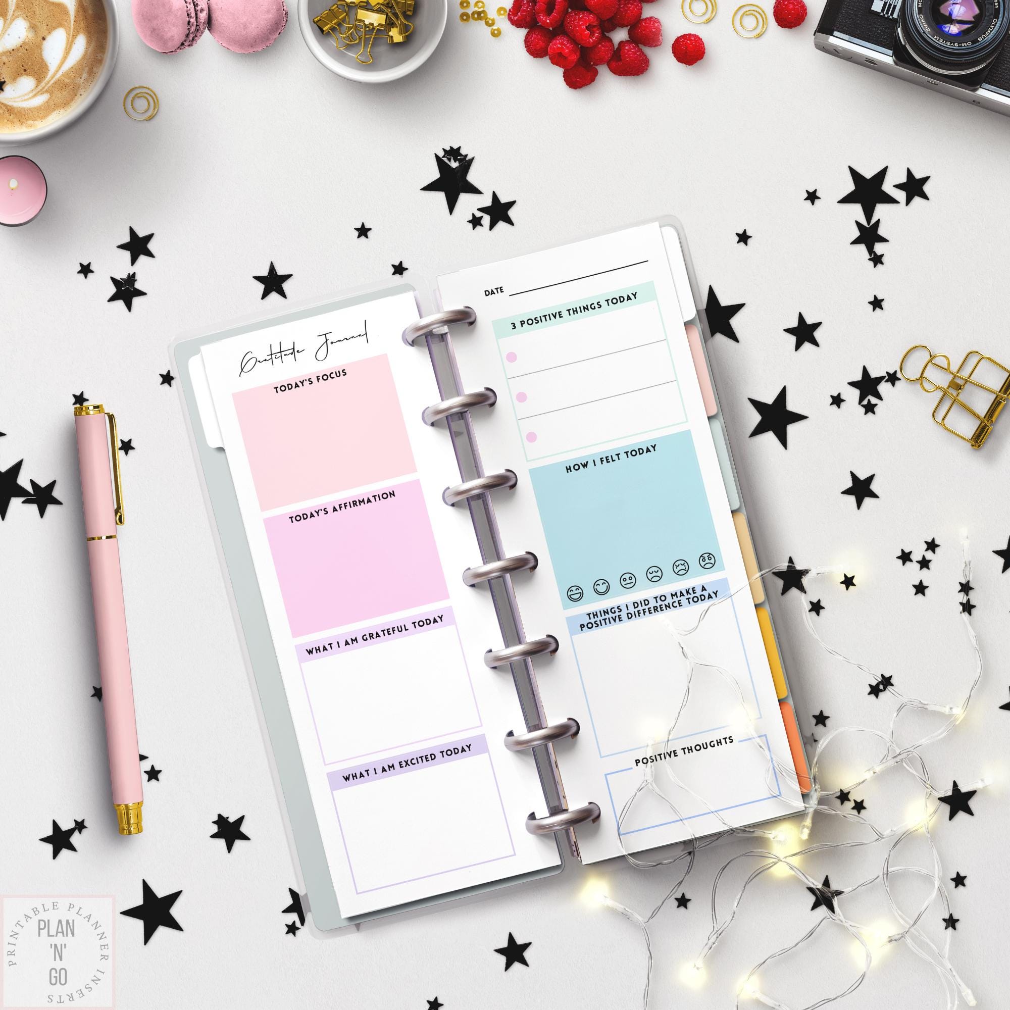 Skinny Mini, Gratitude Journal, Self Care Planner, Mood Tracker, Mental ...