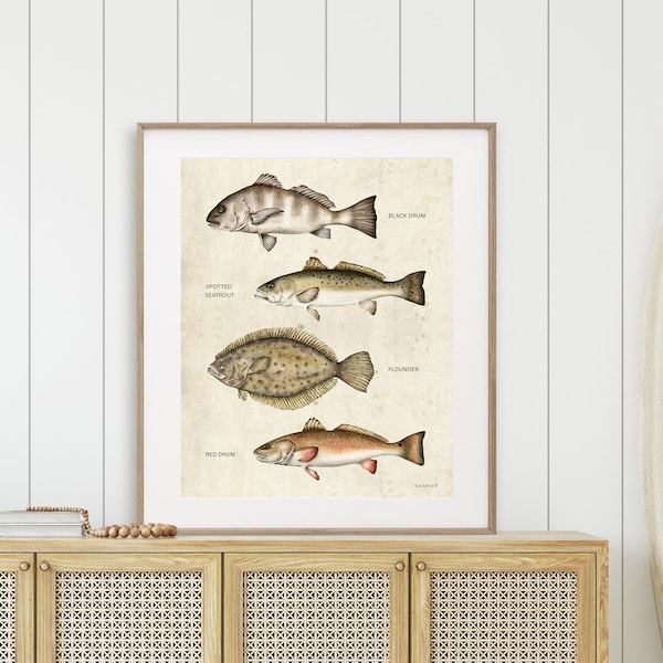 Saltwater Fish Art - Etsy