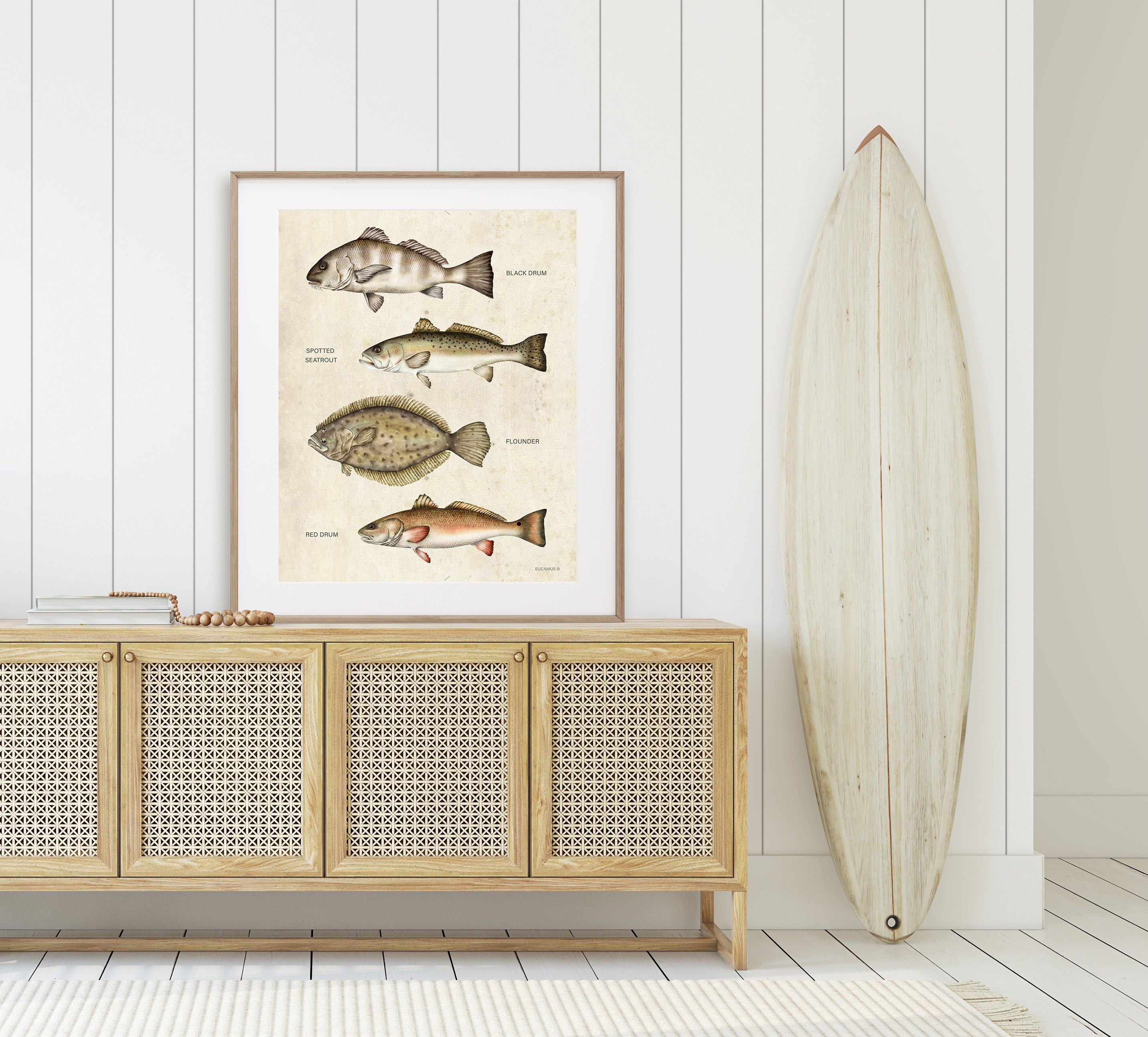 Saltwater Fish / Watercolor Art Print - Etsy