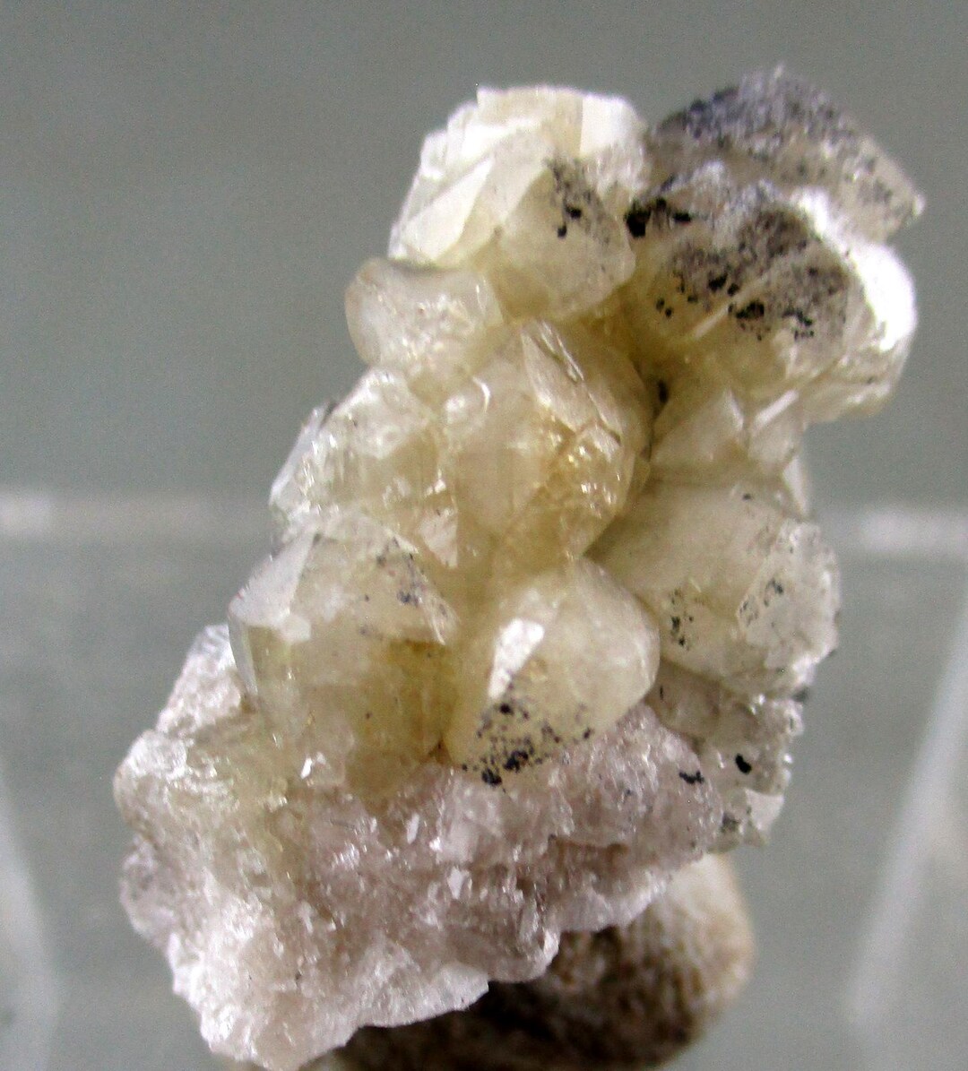 Anglesite on Cerussite, Kintore Open Cut - Etsy