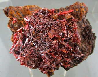 Amazing Crocoite From the Adelaide Mine ,tasmania , Australia , Red ...