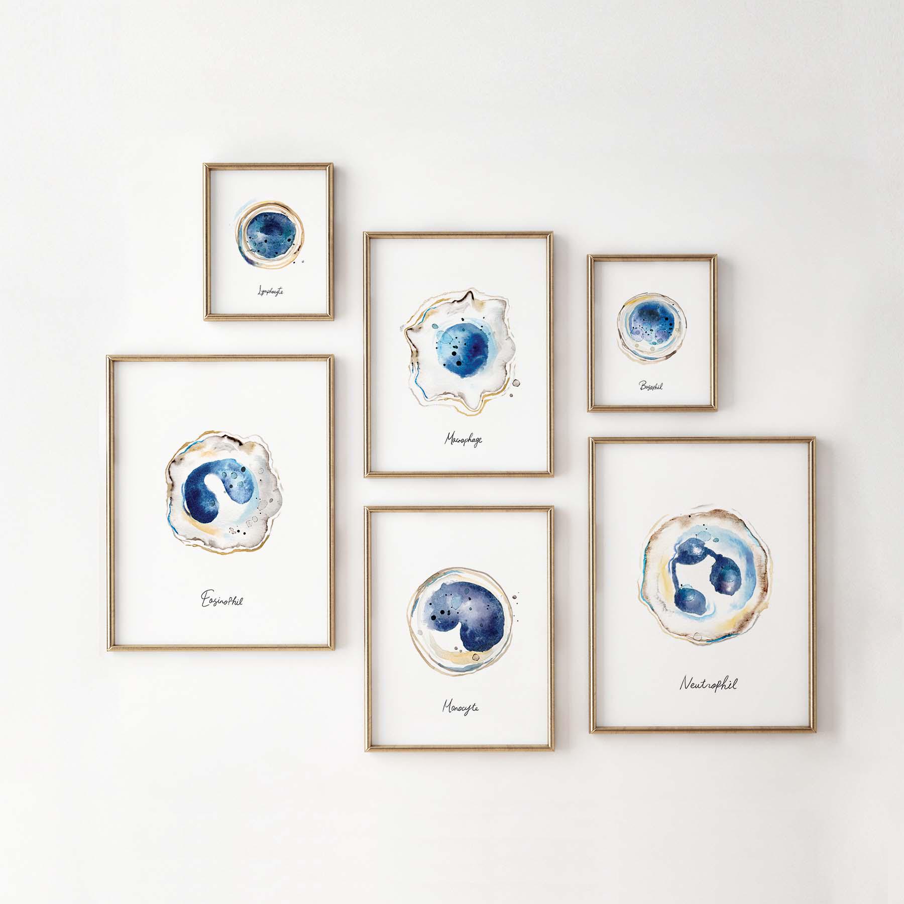 White Blood Cells Art Set of 6 Instant Download Art Print, Immune Cells ...